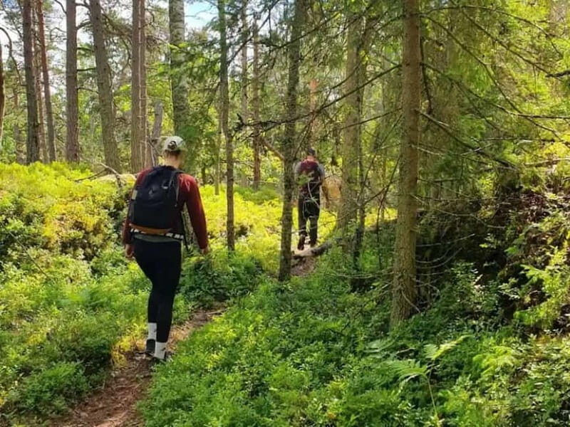 Stockholm: Nature Reserve Hiking Tour with Campfire Lunch - The Sum Up