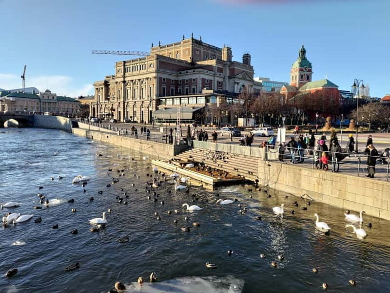 Stockholm: Private Guided Car Tour and Vasa Museum Entry - Key Points