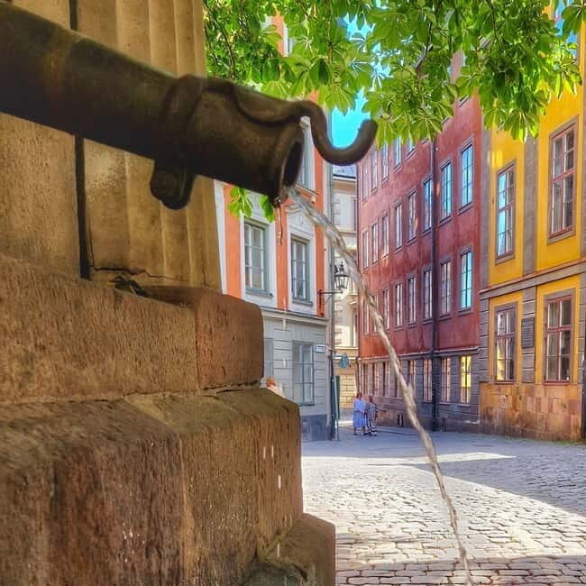 Stockholm: Royal & Classic History Walking Tour with Fika - Summary