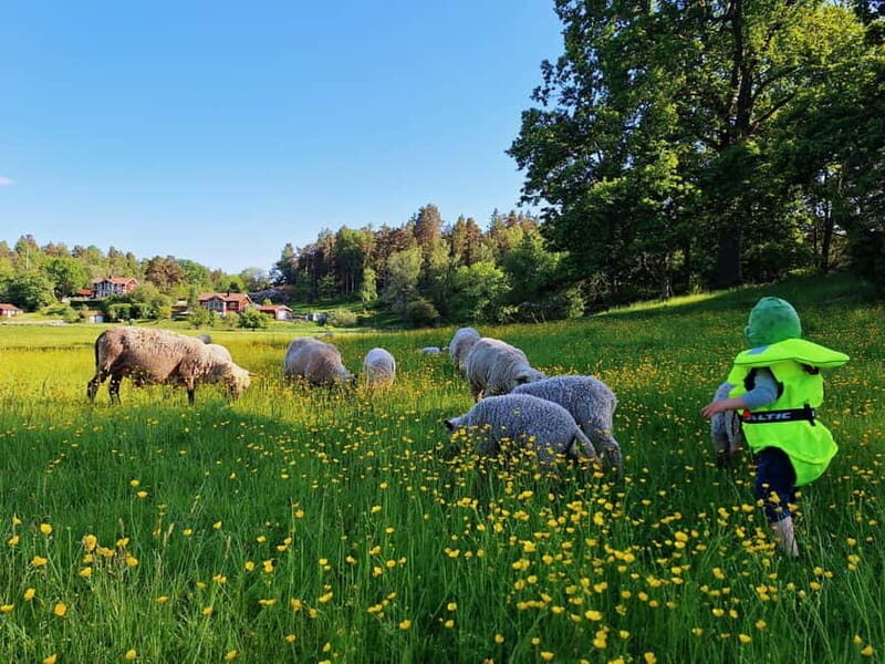 Stockholm: Self Guided Kayak Adventure in Nature Reserve - The Sum Up