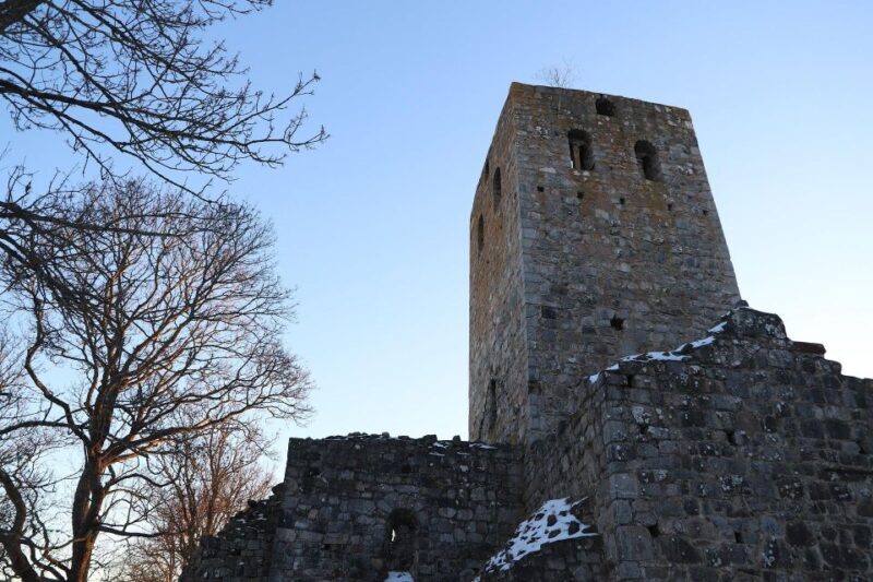 Stockholm: Sigtuna and Uppsala Viking History Day Tour - Who Would Love This Experience?