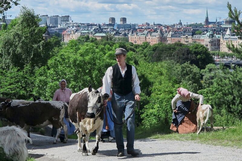 Stockholm: Skansen Open-Air Museum Admission Ticket - Why Visit Skansen? The Heart of Swedish Heritage in the Open Air