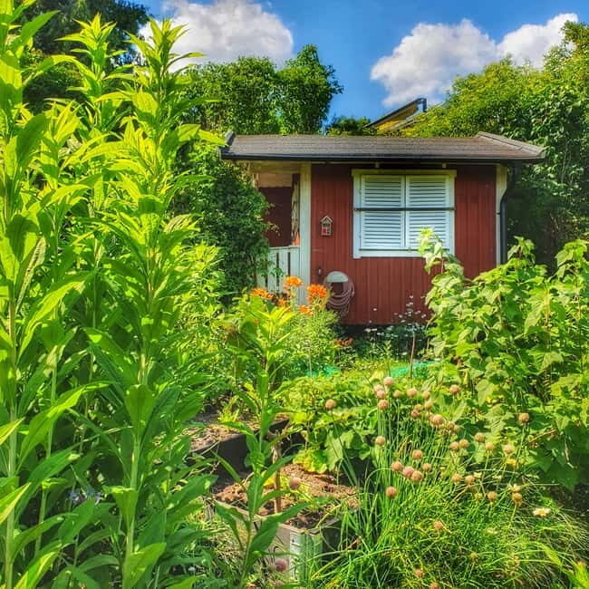 Stockholm: Södermalm Allotment Gardens & Parks Walking Tour - Frequently Asked Questions