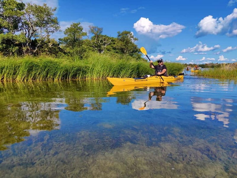 Stockholm: Stockholm Archipelago Full-Day Kayak Tour - Authentic Reviews & What Past Participants Say
