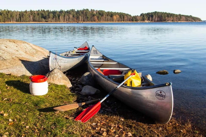Stockholm: Sunset Canoe Beaver Safari & BBQ on Island - Key Points