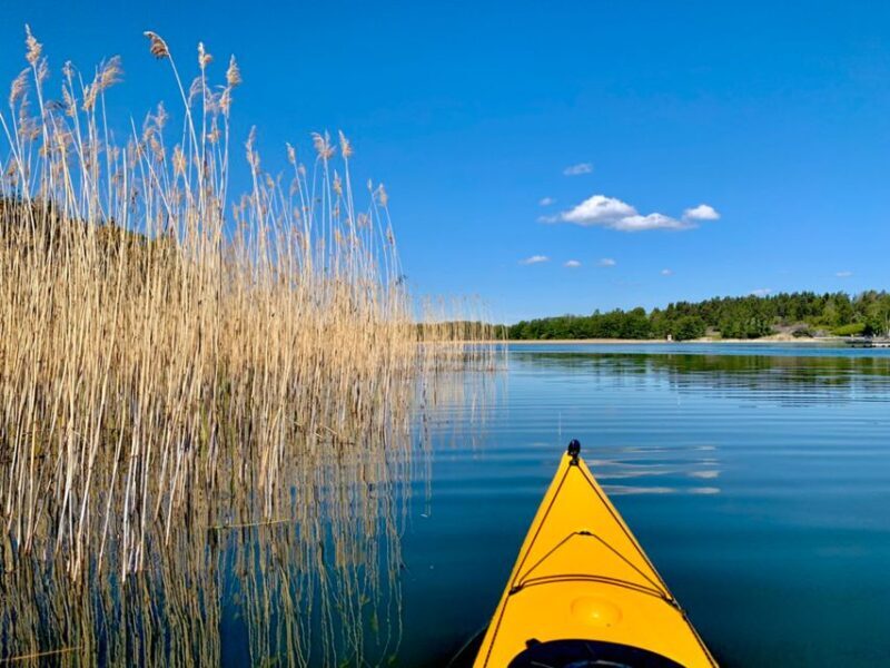 Stockholm: Sunset Kayak Tour in the Archipelago + Fika - Itinerary Breakdown and What to Expect