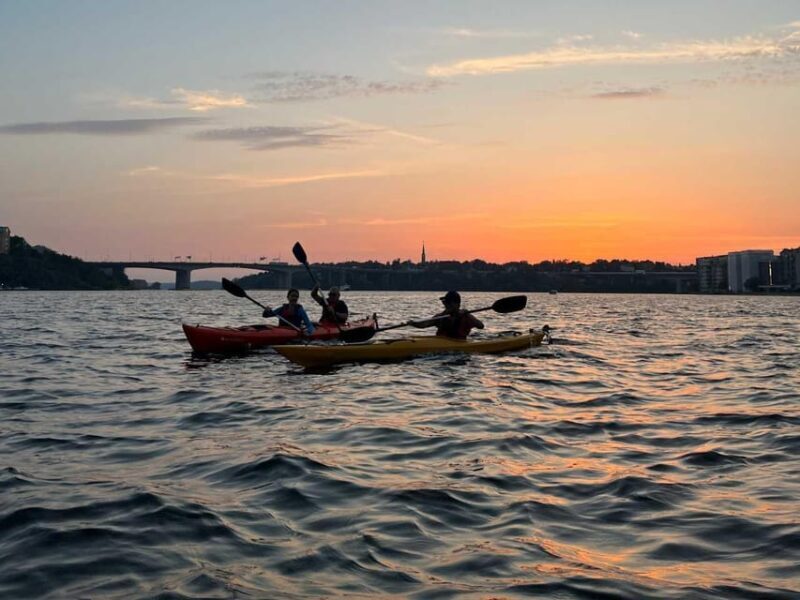 Stockholm: Sunset Kayak Tour in the City + Swedish Fika - Practical considerations and tips