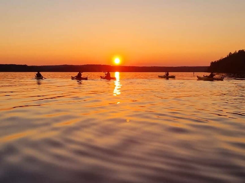 Stockholm: Sunset Kayak Tour on Lake Mälaren with Tea & Cake - An Introduction to the Experience