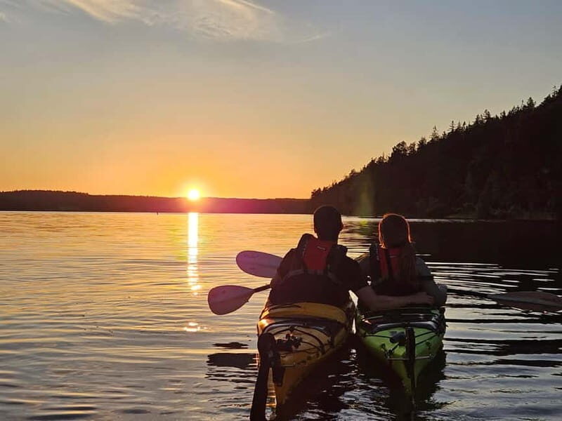 Stockholm: Sunset Kayak Tour on Lake Mälaren with Tea & Cake - Why We Love This Tour