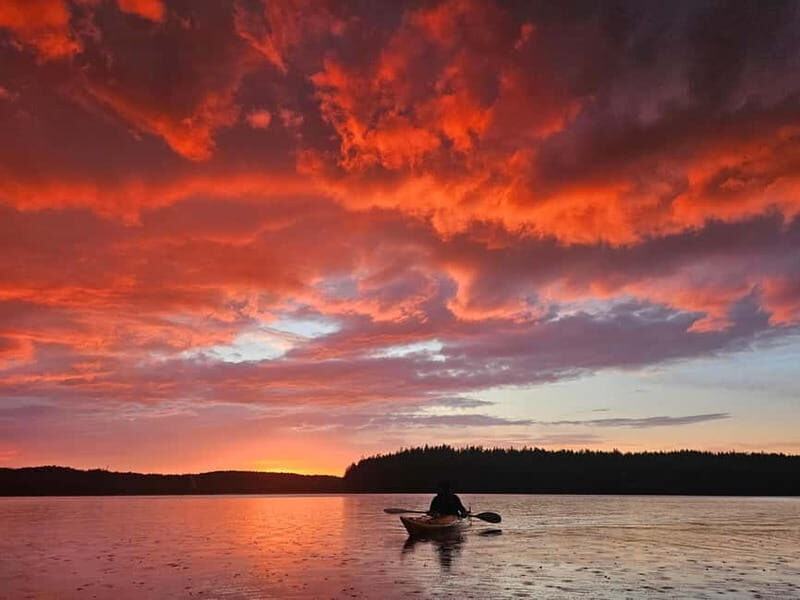 Stockholm: Sunset Kayak Tour on Lake Mälaren with Tea & Cake - The Value of This Experience