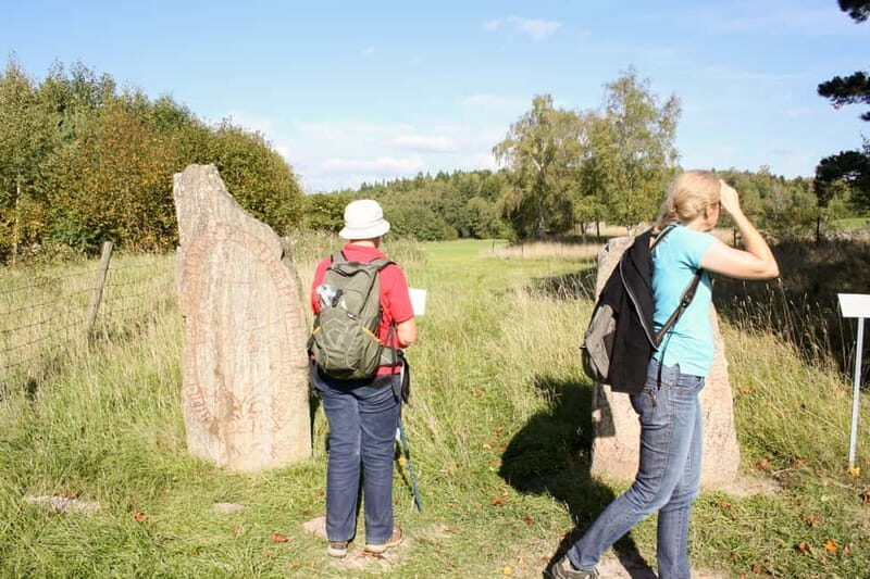 Stockholm Viking History Full Day Tour to Sigtuna + Uppsala - Who Should Take This Tour?
