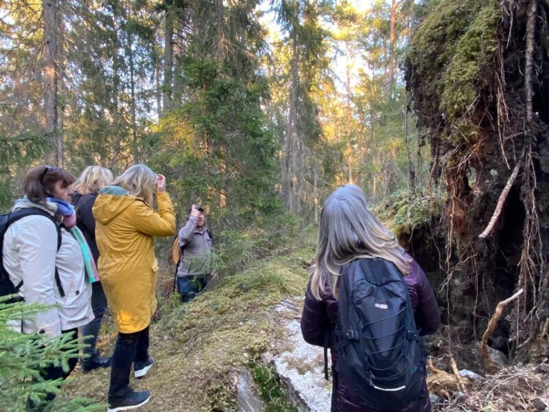 Stockholm: Wildlife Safari - Authenticity and Reviews from Wildlife Enthusiasts