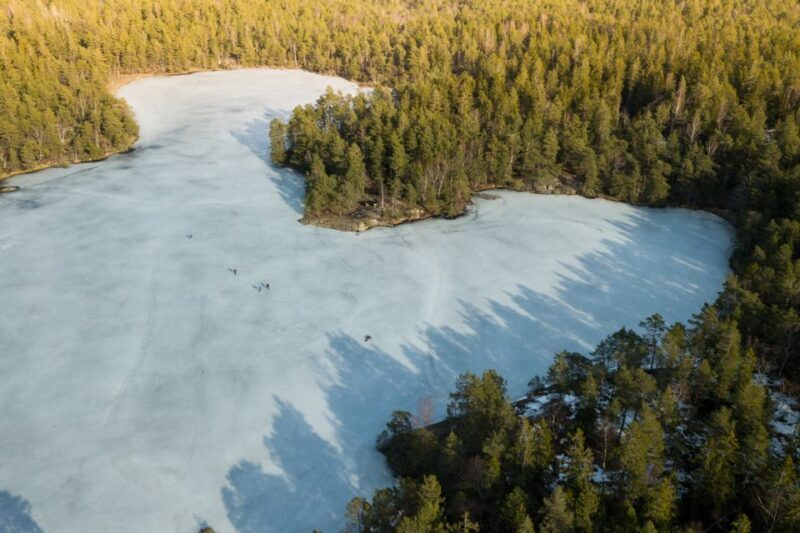 Stockholm: Winter Snowshoe Full-Day Hike - An Easy Escape from the City