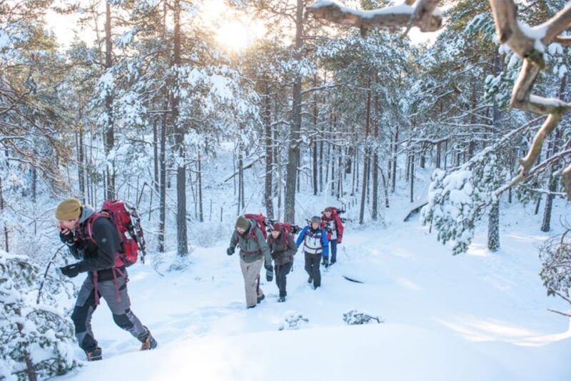 Stockholm: Winter Snowshoe Full-Day Hike - What to Expect from the Itinerary