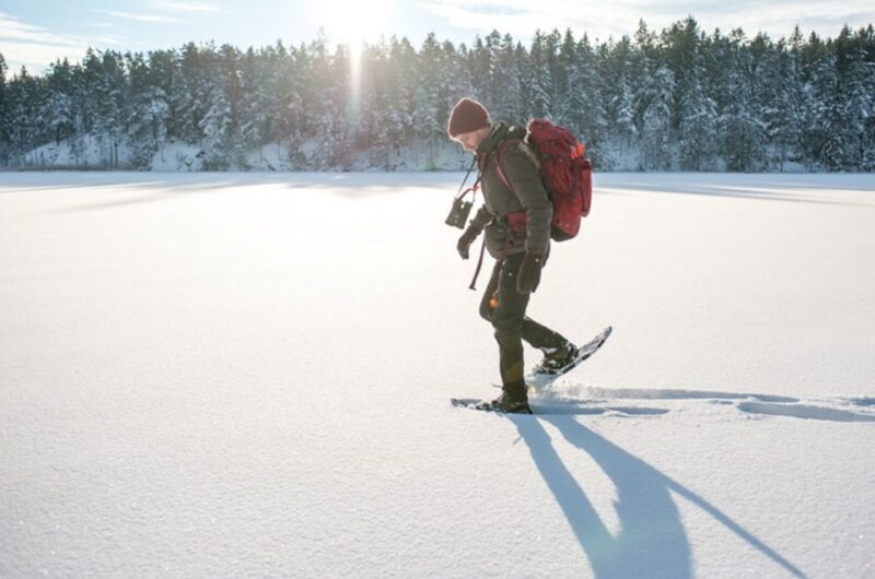 Stockholm: Winter Snowshoe Full-Day Hike - Overall Value and Price Considerations