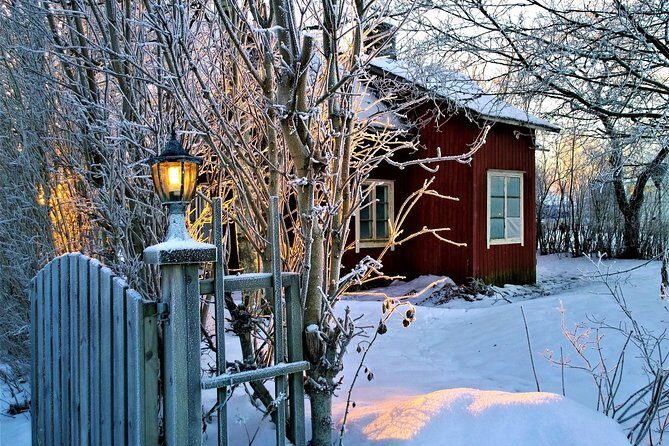 Stockholm's Festive Sights And Christmas Lights - Who Is This Tour Best Suited For?