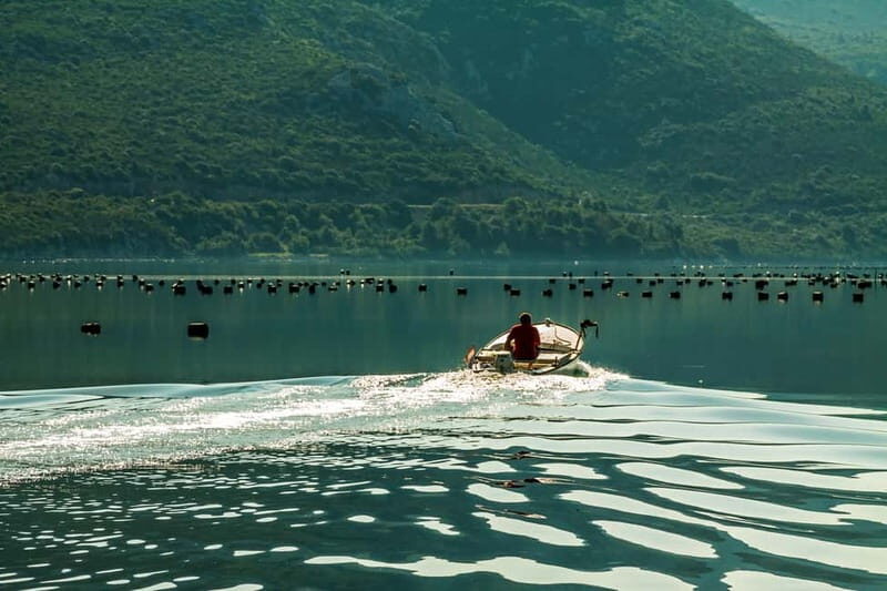 Ston Oyster & Wine Tasting Private Tour From Dubrovnik - How Does the Value Add Up?