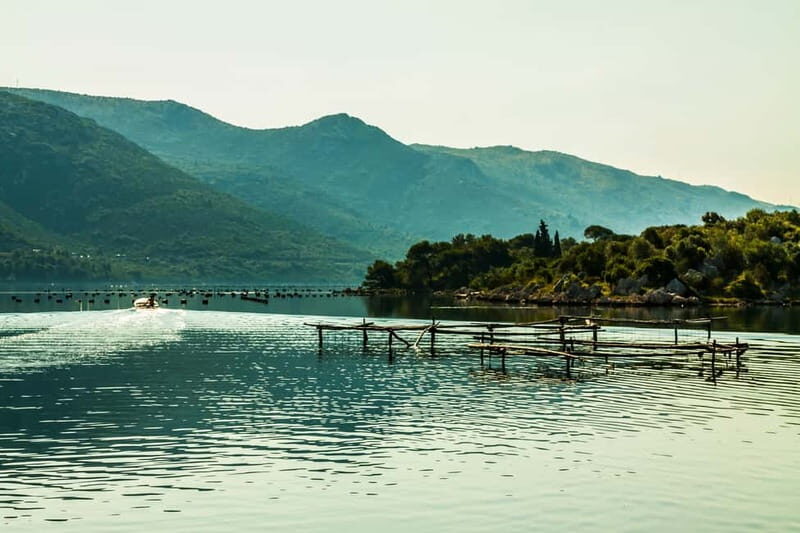 Ston Oyster & Wine Tasting Private Tour From Dubrovnik - FAQ