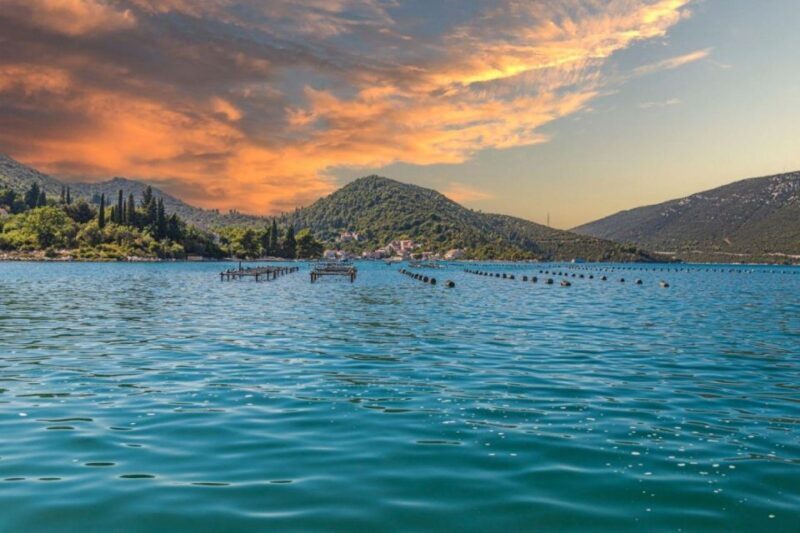 Ston oysters and wine tasting tour from Dubrovnik - Introduction