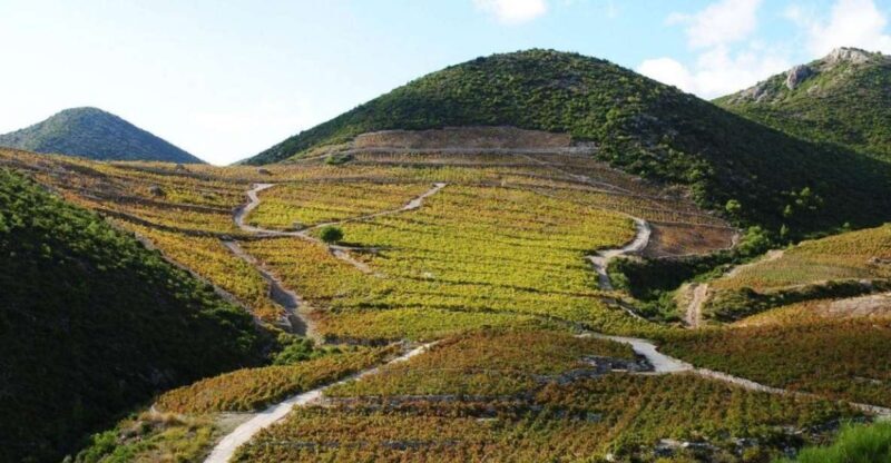 Ston oysters and wine tasting tour from Dubrovnik - Final Thoughts