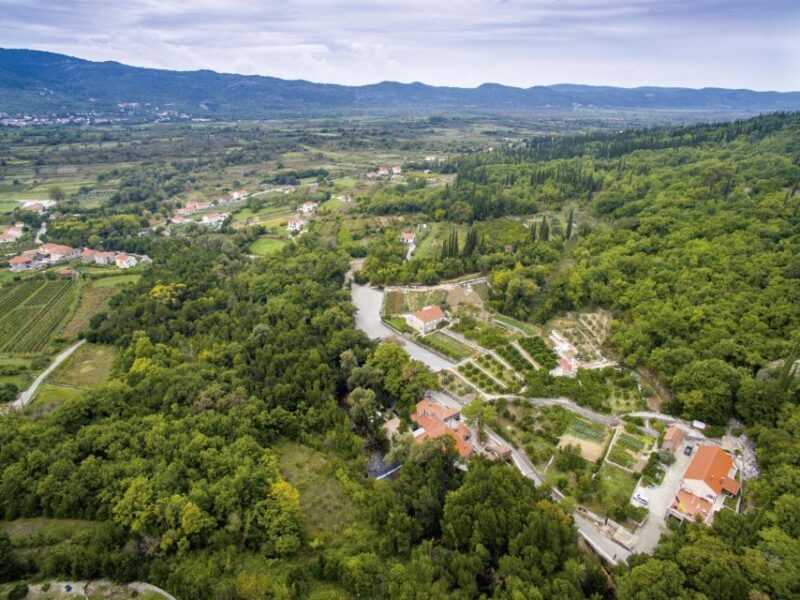 Ston oysters and wine tasting tour from Dubrovnik - Frequently Asked Questions