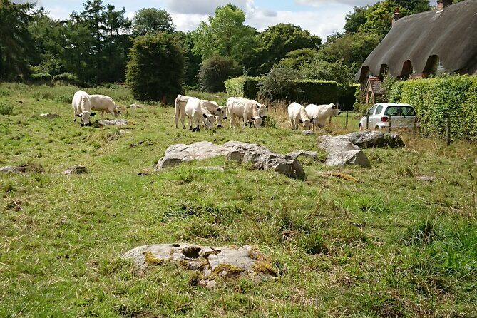 Stonehenge, Avebury, and West Kennet Long Barrow from Salisbury - What Is It Like to Travel in the Minivan?