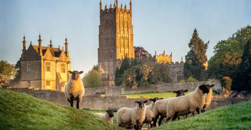 Stonehenge, Bath & Stratford Tour (1-night in The Cotsowlds) - An Overview of the Tour Experience