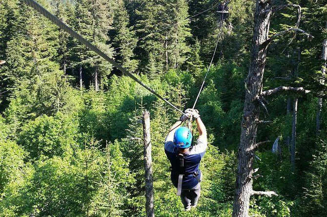 Stoney Creek Canopy Adventure - A Detailed Look at the Experience