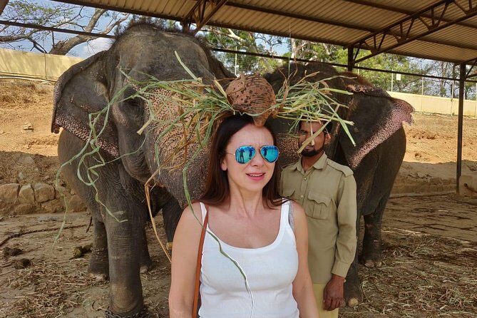 Story of Mysore Silk tour from Bangalore to experience Silk Weaving & Palace - Who Should Consider This Tour?