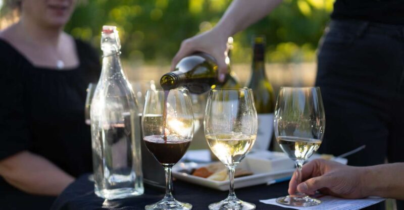 Strange Bird Flight of 3 Wine & Cheese - Key Points