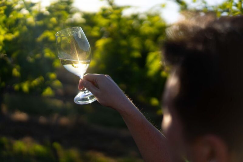 Strange Bird Flight of 3 Wine & Cheese - An In-Depth Look at the Wine & Cheese Experience