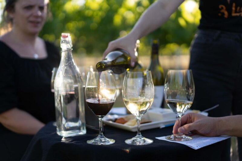 Strange Bird Flight of 3 Wine & Cheese - Final Thoughts