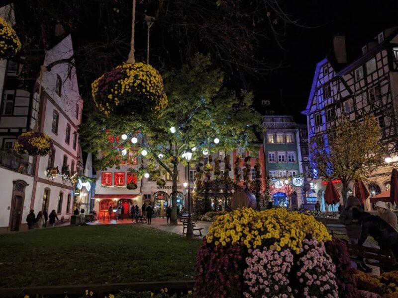 Strasbourg: Christmas Market by Night with Mulled Wine - Itinerary Breakdown: What Makes Each Stop Special