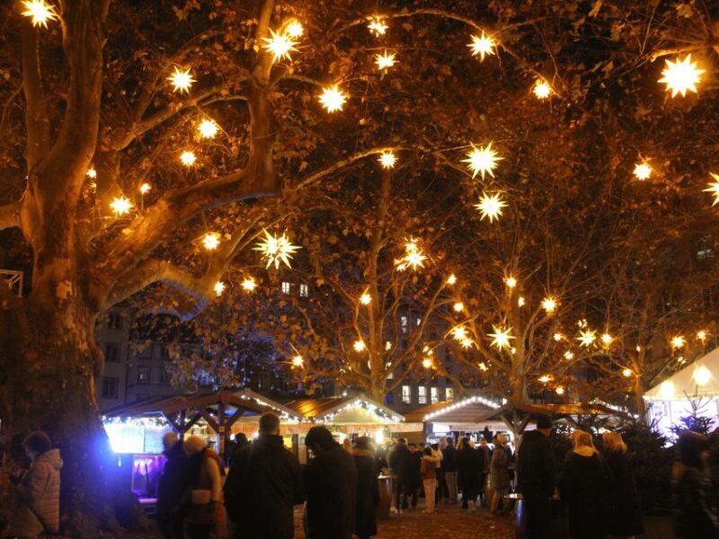 Strasbourg: Christmas Market by Night with Mulled Wine - FAQ: Common Questions