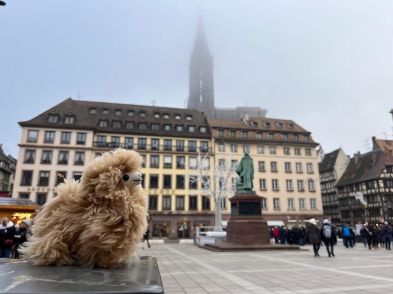 Strasbourg: Christmas Walking Tour with Mulled Wine - Who Will Love This Tour?