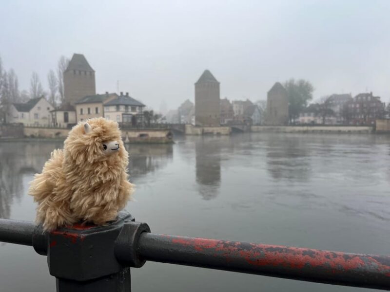 Strasbourg: Christmas Walking Tour with Mulled Wine - Final Thoughts
