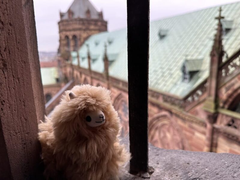 Strasbourg: Colmar, Villages & Castle Private Day Trip - Final Thoughts: Is This Tour Right for You?
