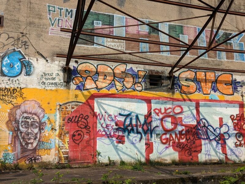 Strasbourg : Street-Art Tour - Key Points