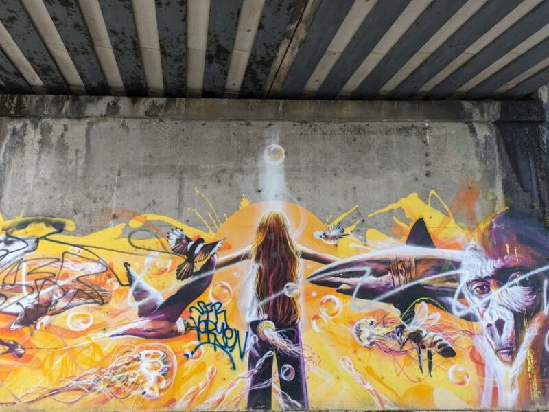 Strasbourg : Street-Art Tour - Who Would Enjoy This Tour?