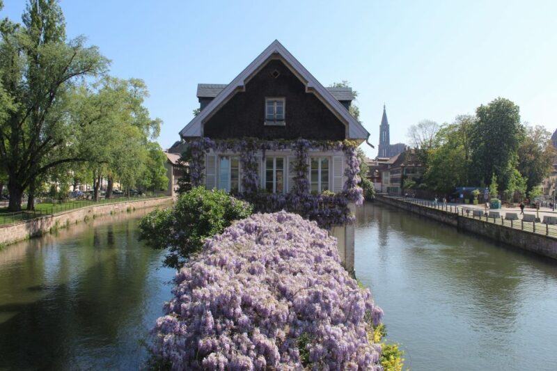 Strasbourg: Walking Tour with Local Guide - What Could Be Improved?