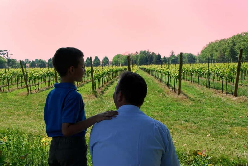 Strassoldo: Winery Tour and Tasting with the Owner - The Experience in Context