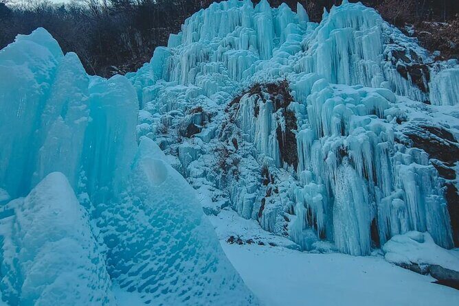 Strawberry & Eobi Valley & Nami Island & Garden of Morning Calm - Final Thoughts: Who Will Love This Tour?