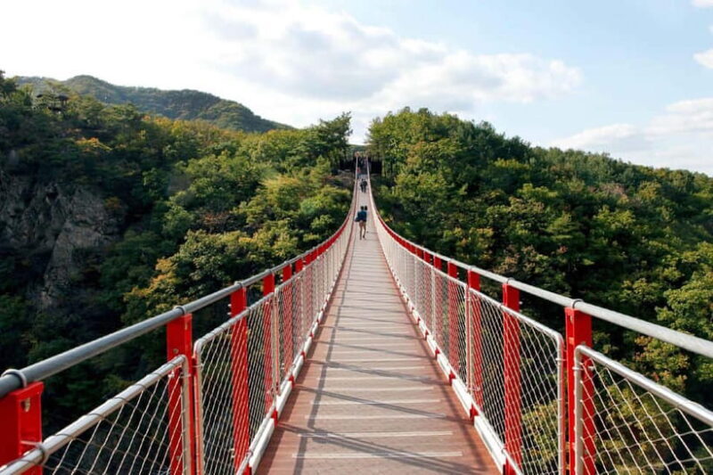 Strawberry & Mt.Gamaksan & Eunpyeong Hanok & Chorigol 164 - Introduction