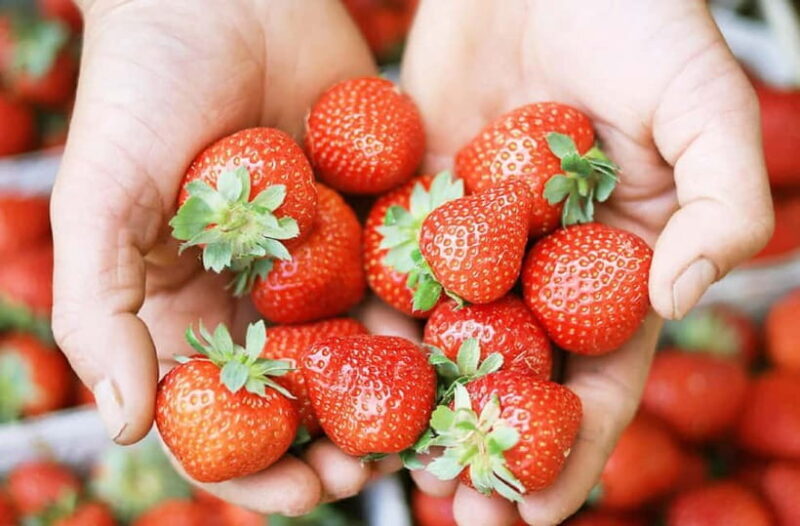 Strawberry & Mt.Gamaksan & Eunpyeong Hanok & Chorigol 164 - FAQs