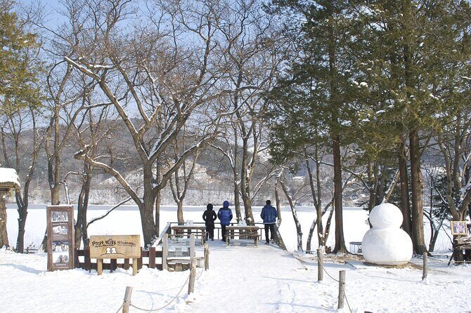 Strawberry & Nami Island & Railbike Trip (+ Opt. Korean Garden) - Transportation and Group Size