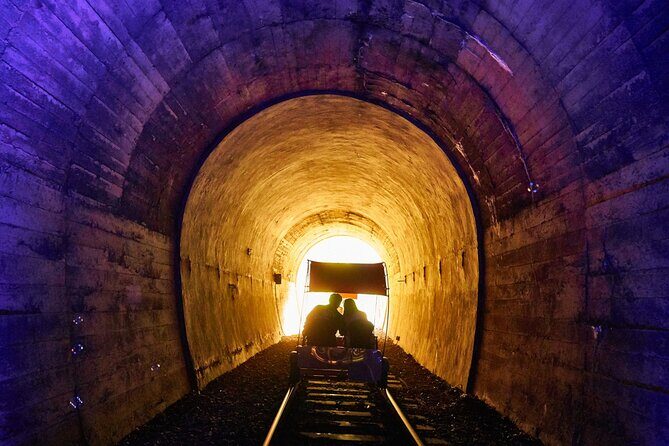 Strawberry & Nami Island & Railbike Trip (+ Opt. Korean Garden) - Pricing and Value