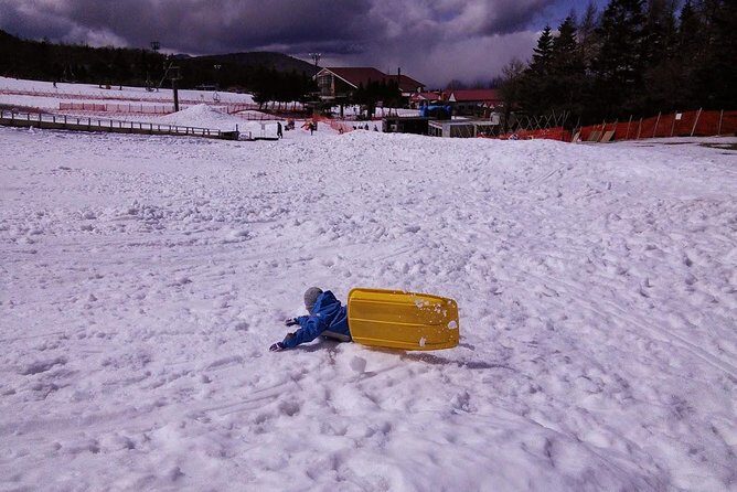 Strawberry Picking and Snow experience at Mt Fuji ski resort for VIP - The Practicalities