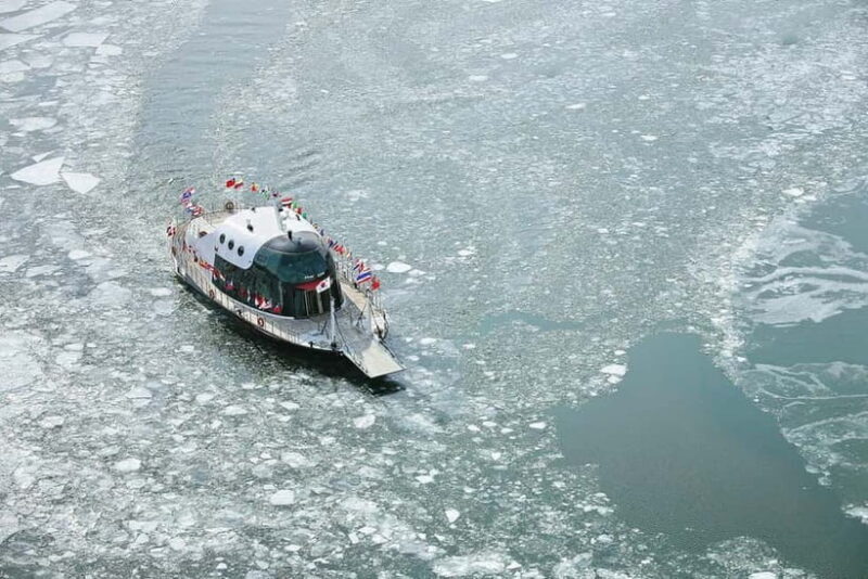 Strawberry Picking & Eobi Ice Valley Winter Tour +Sledding - Analyzing the Value and Experience