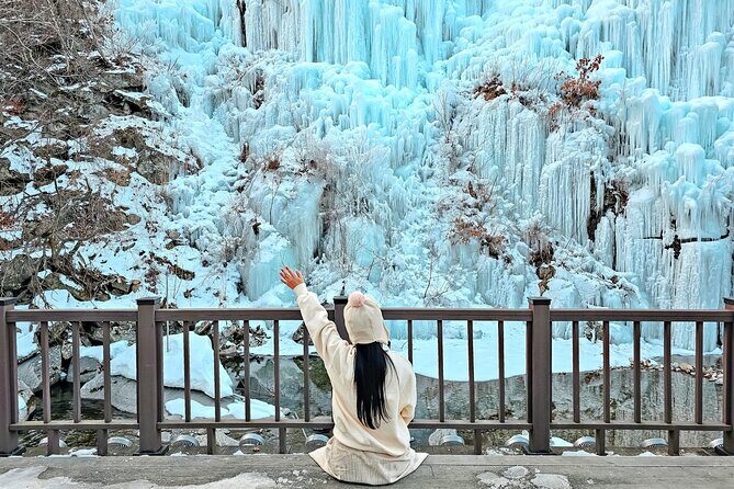 Strawberry Picking, Snow Sledding in Eobi Valley and Sheep Ranch - Key Points