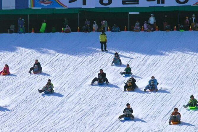 Strawberry Picking, Snow Sledding in Eobi Valley and Sheep Ranch - What’s Included and What to Consider